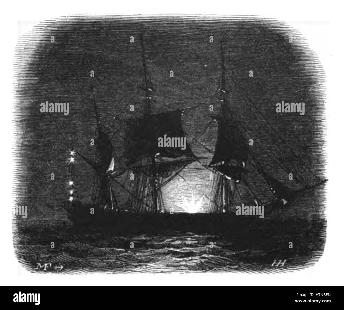 Marine sea life Cut Out Stock Images & Pictures - Alamy