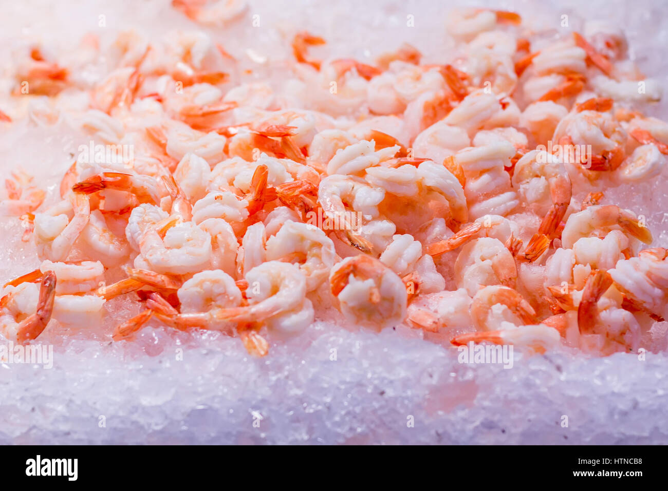 Cleaned fresh raw tiger prawns or Penaeus monodon in ice at Asian fish ...