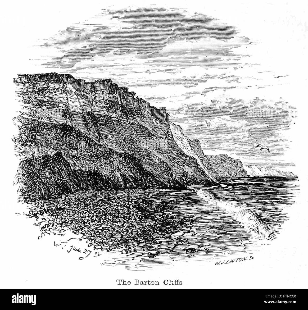The New Forest its history and its scenery - page 234 Stock Photo - Alamy