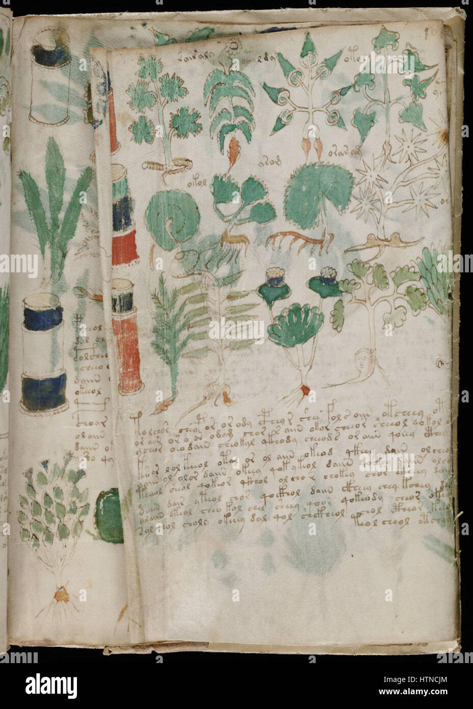 The Voynich Manuscript is a mysterious and undeciphered manuscript ...