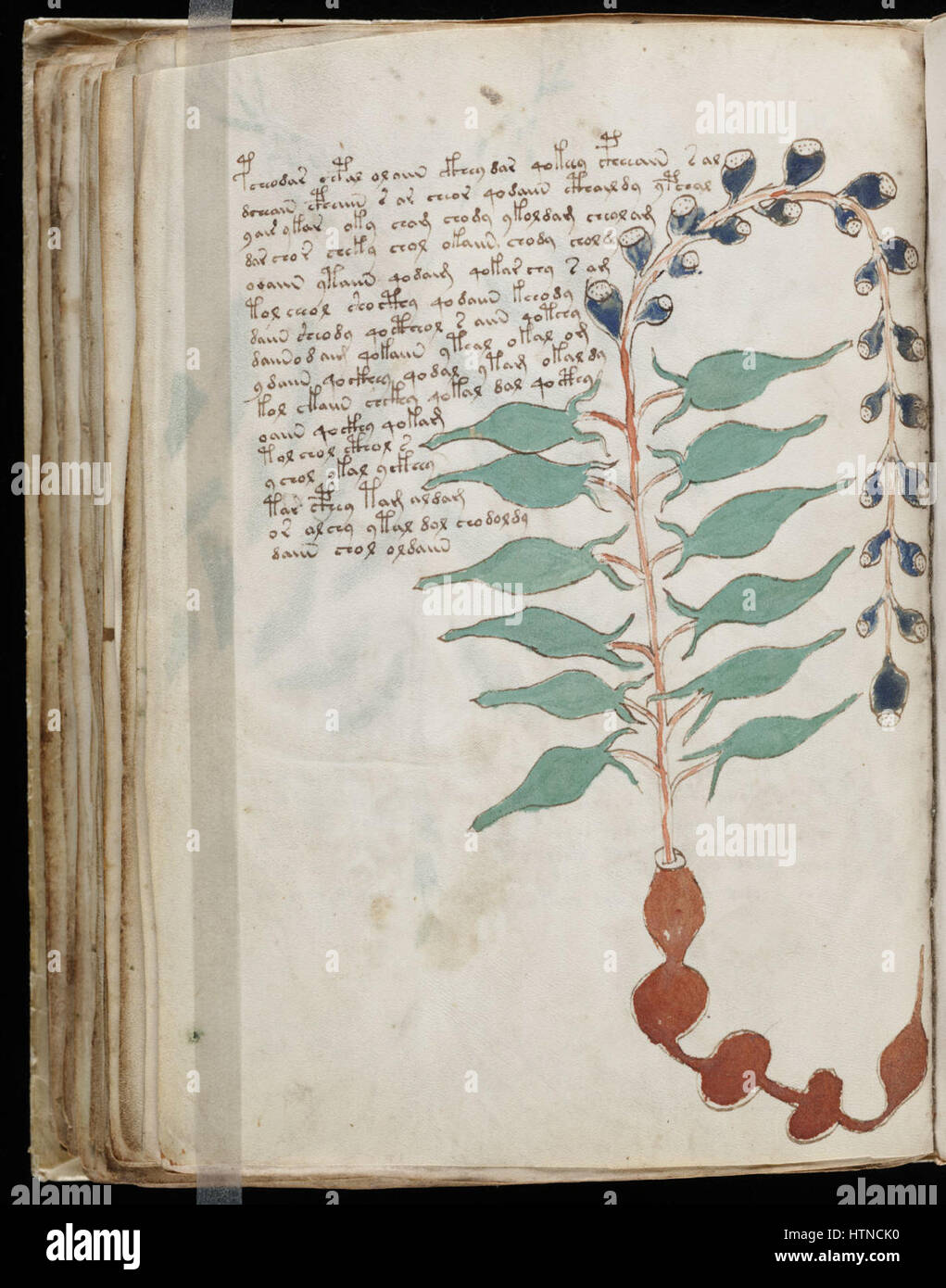 The Voynich Manuscript (108) is a mysterious 15th-century manuscript ...