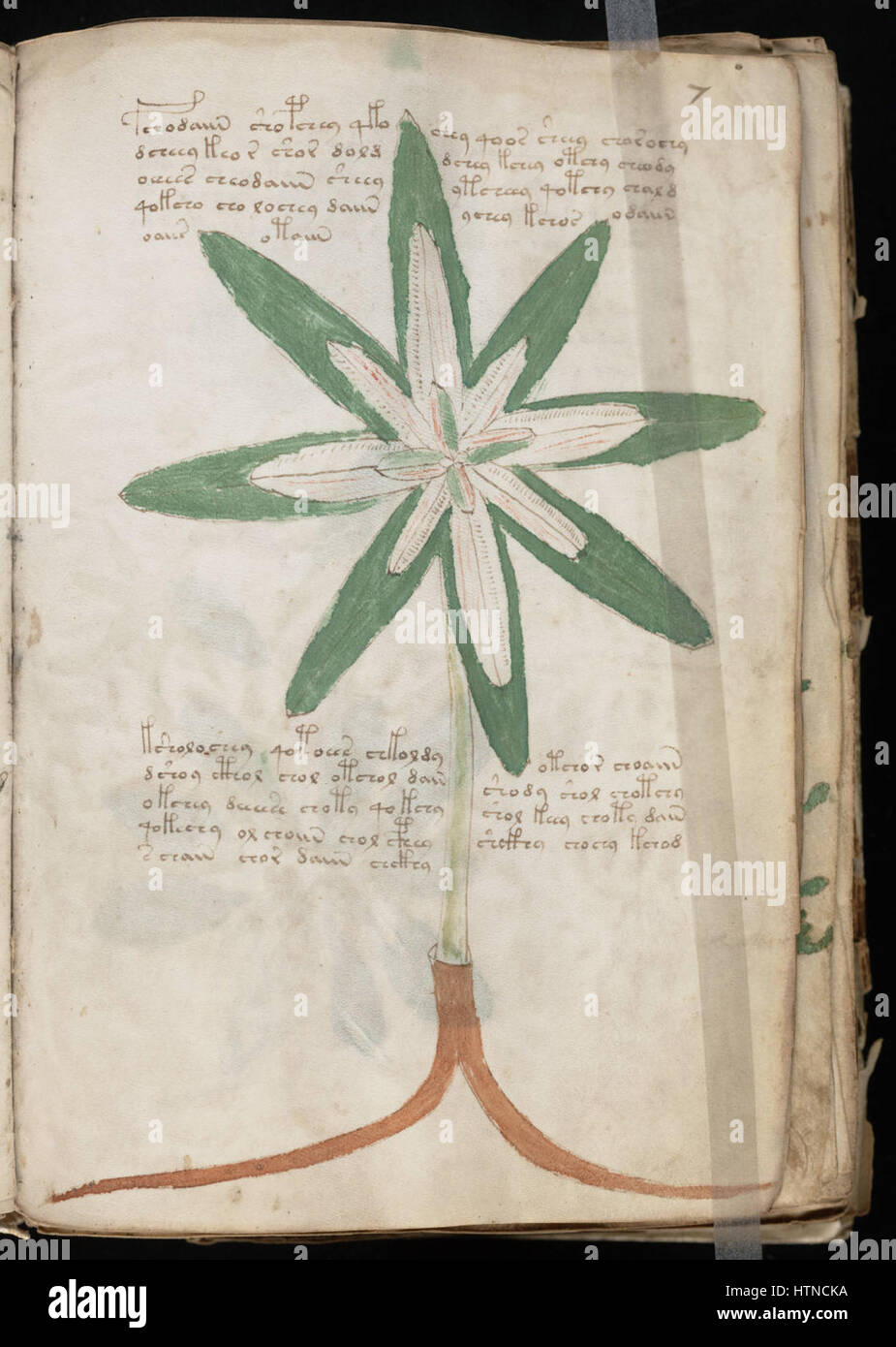 The Voynich Manuscript is a 15th-century book filled with mysterious ...
