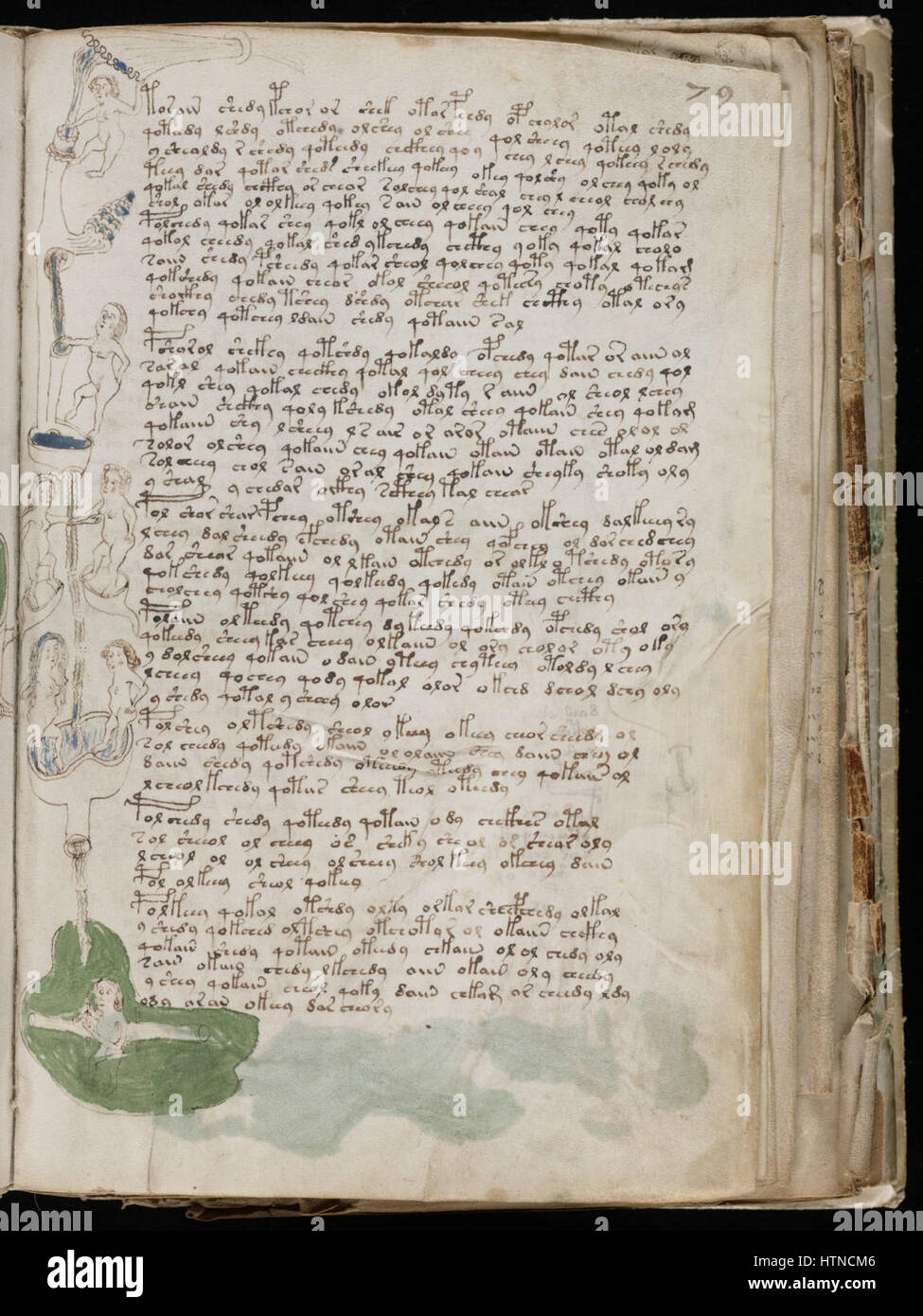 The Voynich Manuscript, folio 143, is part of a mysterious medieval ...