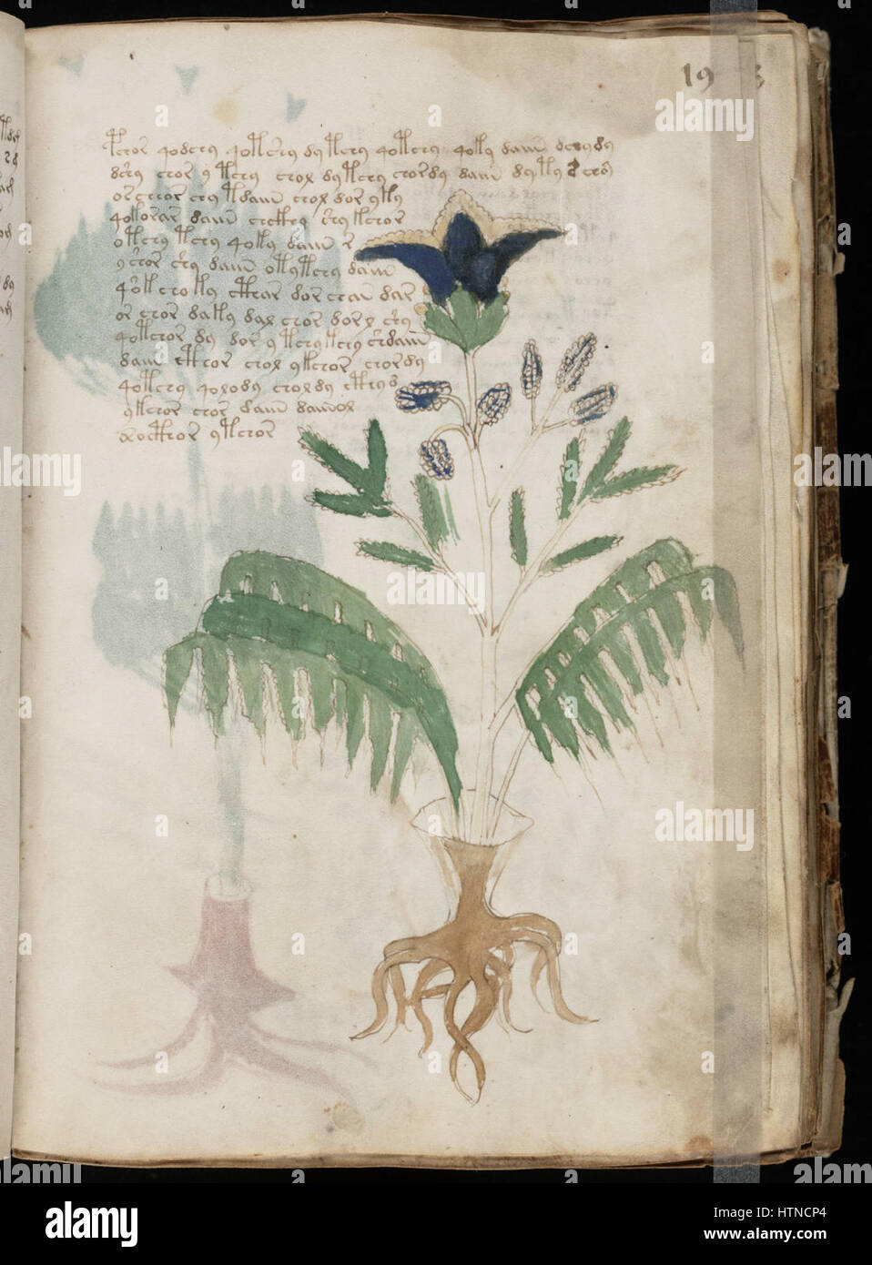 The *Voynich Manuscript* (folio 37) is a page from the mysterious ...
