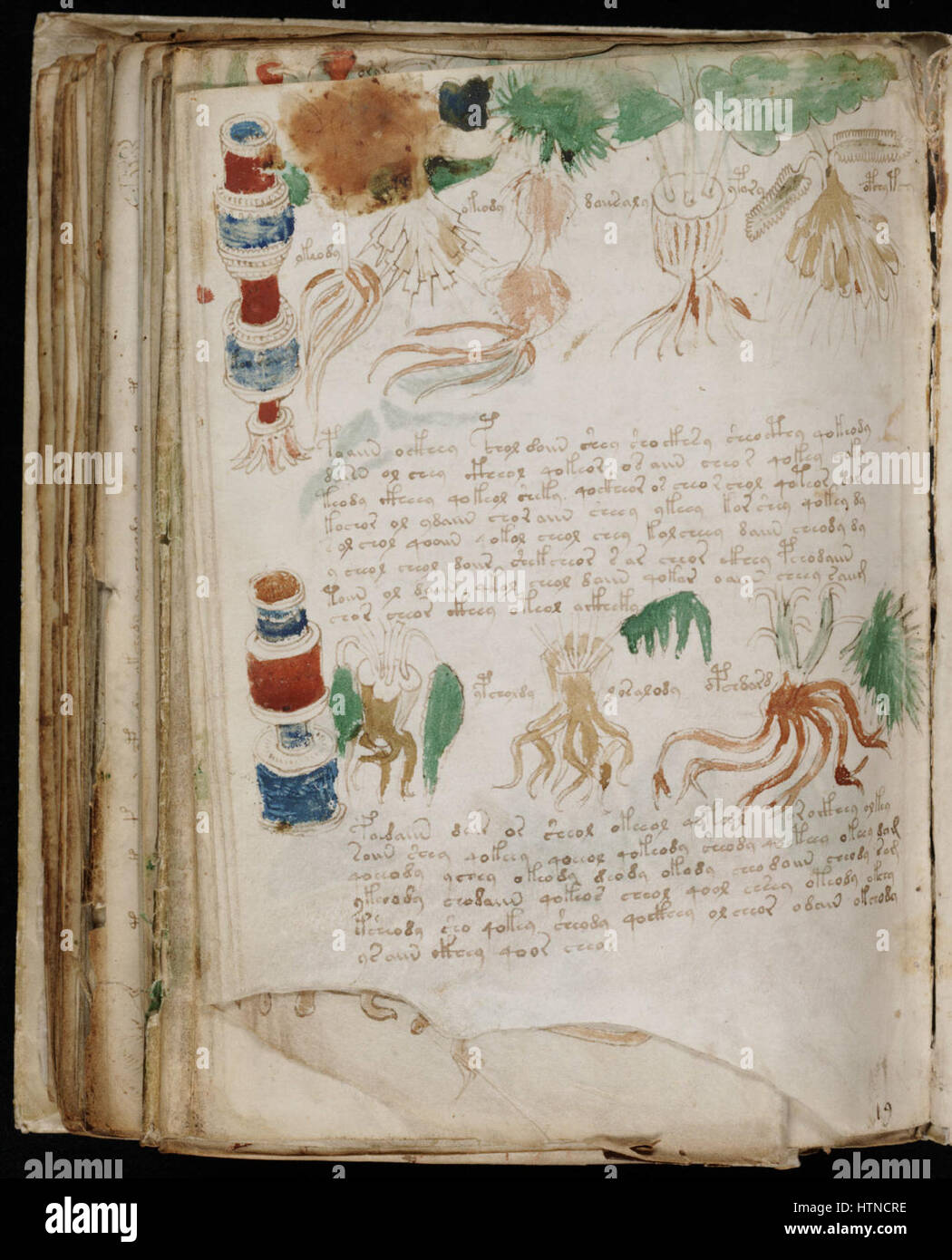Voynich Manuscript High Resolution Stock Photography and Images - Alamy