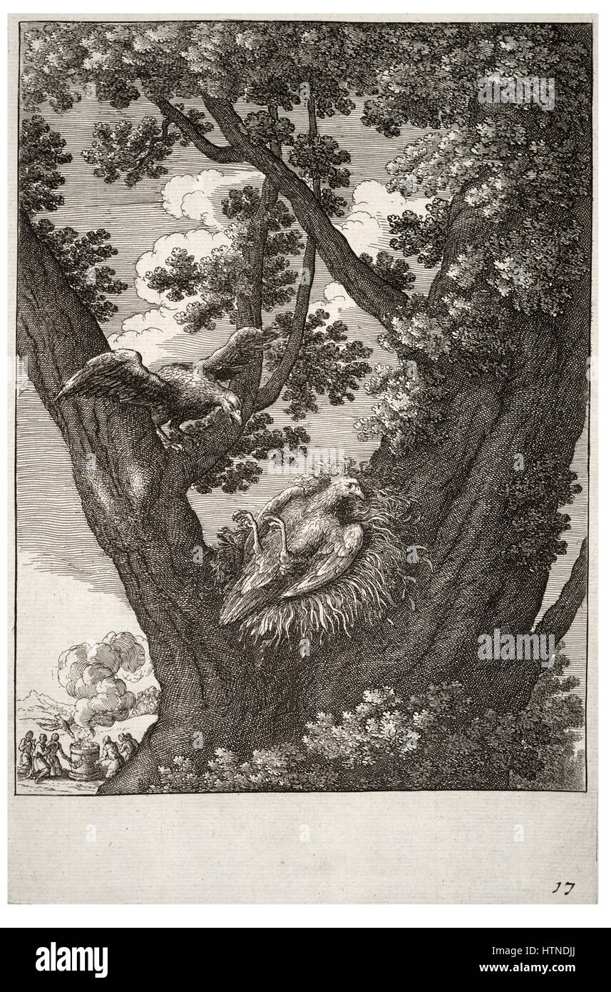 Wenceslas Hollar - The sick kite and its mother 2 Stock Photo - Alamy