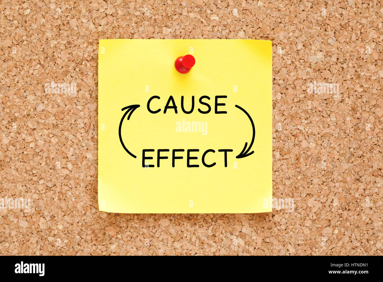Cause & Effect Diagram Template