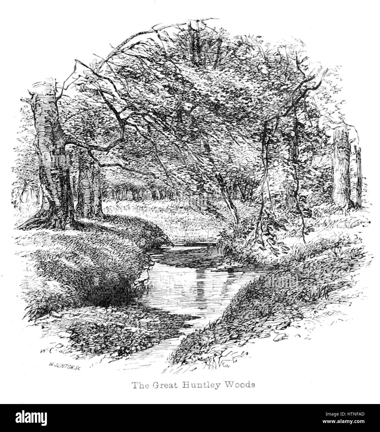 *The New Forest: Its History and Scenery* is a historical and scenic ...