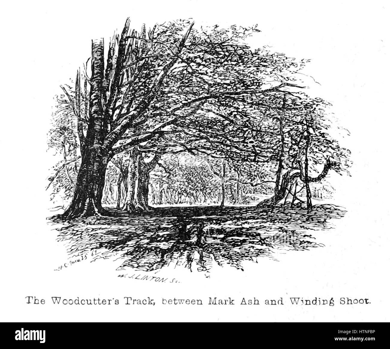 New england landscapes Cut Out Stock Images & Pictures - Alamy