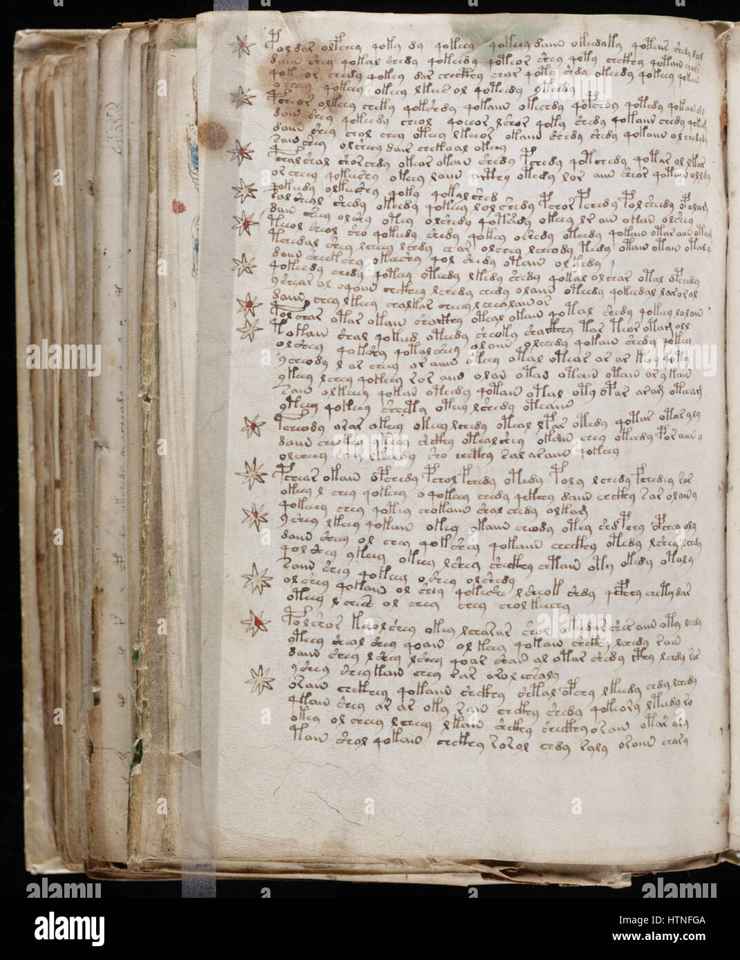 The Voynich Manuscript is an undecoded manuscript filled with ...