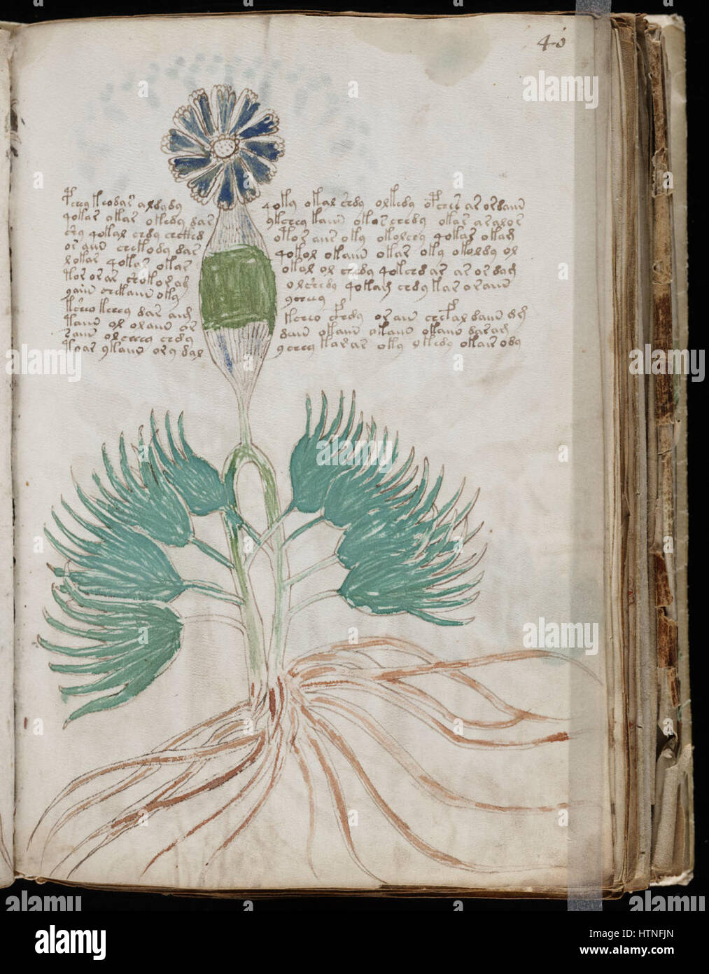 The Voynich Manuscript is an enigmatic text, filled with unknown script ...
