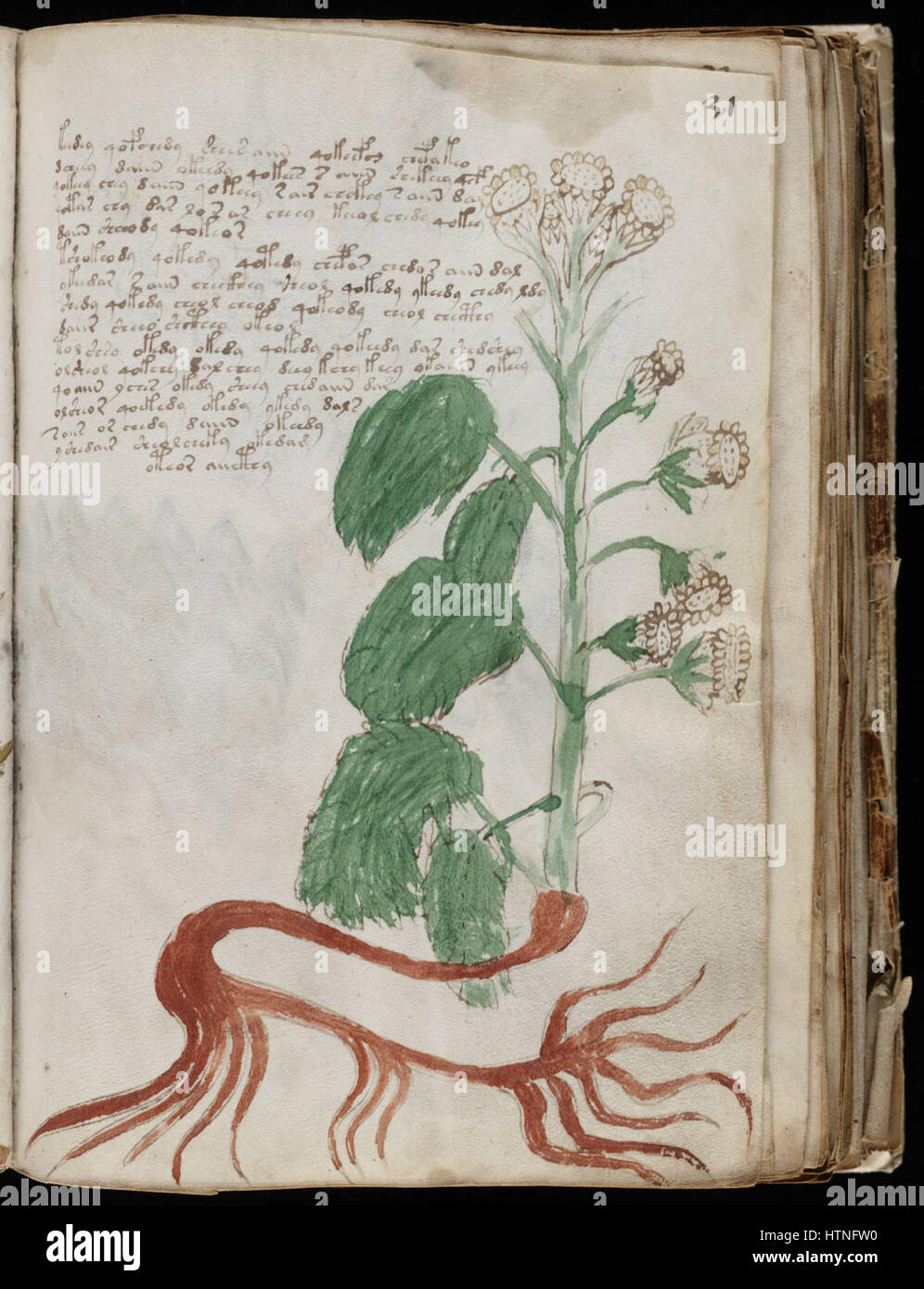 The Voynich Manuscript (61) is a mysterious, illustrated codex that has ...