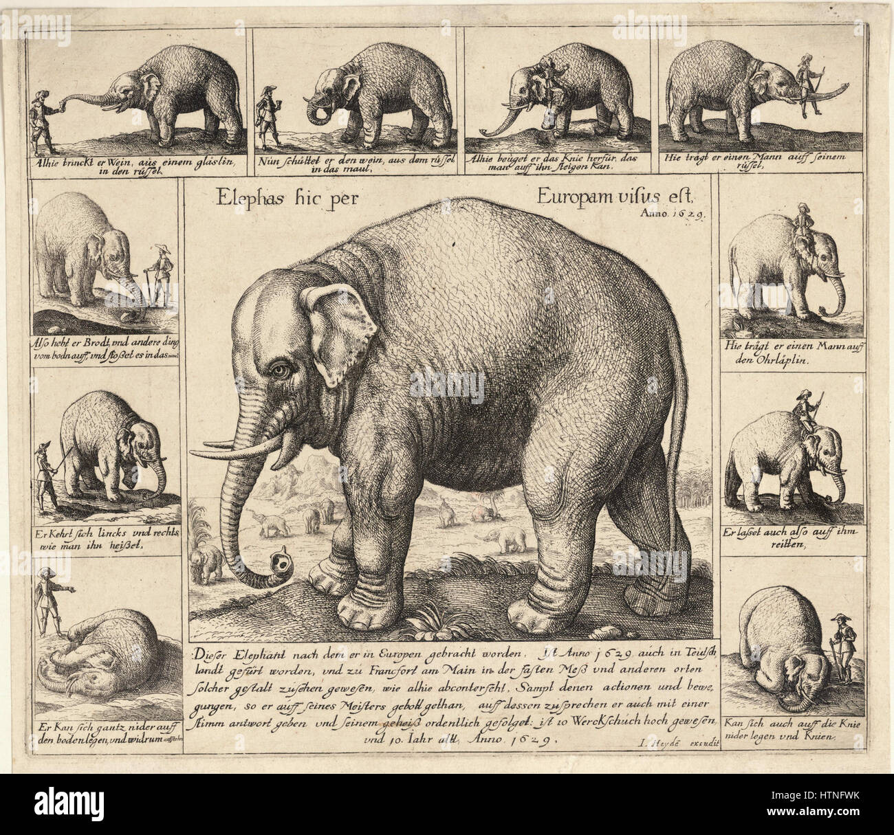 Wenceslas Hollar’s 'The Tame Elephant' is a detailed etching that ...
