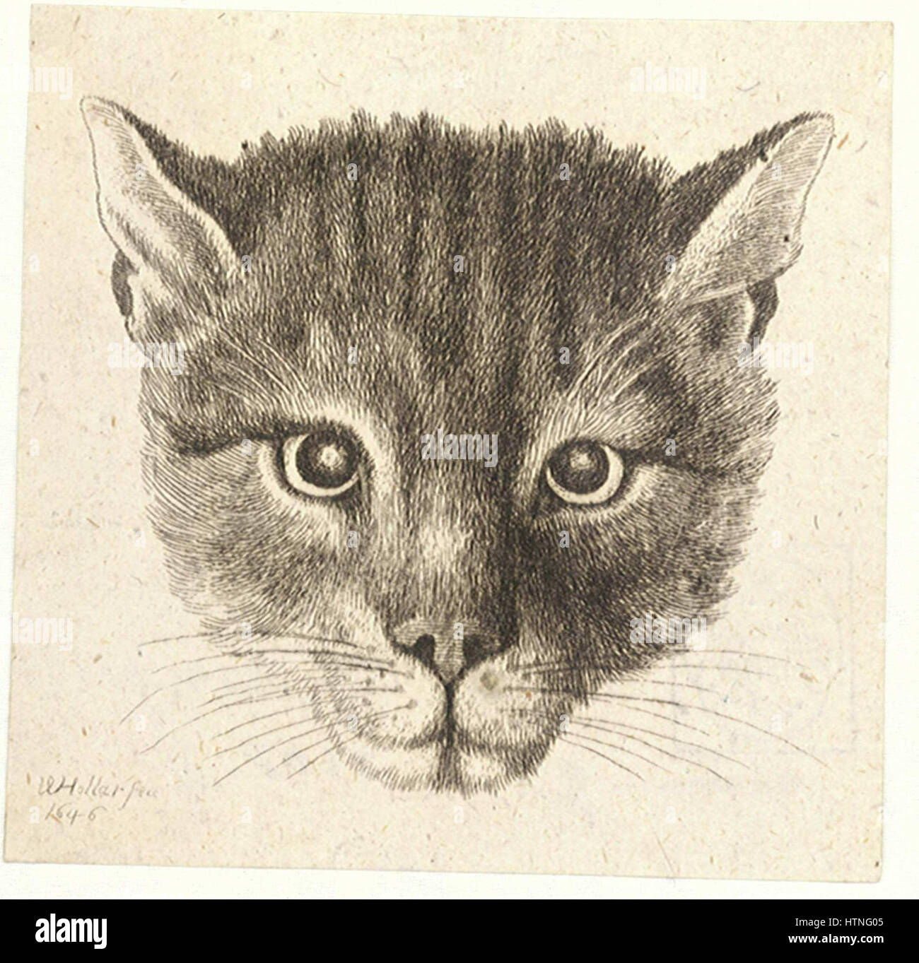 Vintage cat head painting hi-res stock photography and images - Alamy