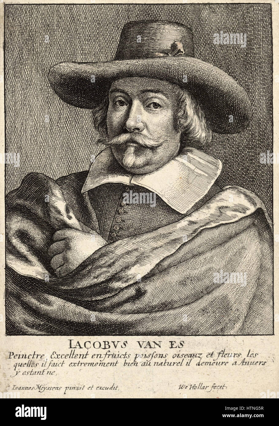 Wenceslas Hollar - Jacob van Es (State 1 Stock Photo - Alamy