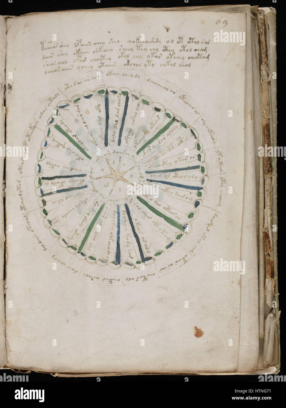 The Voynich Manuscript is an enigmatic and highly illustrated codex ...