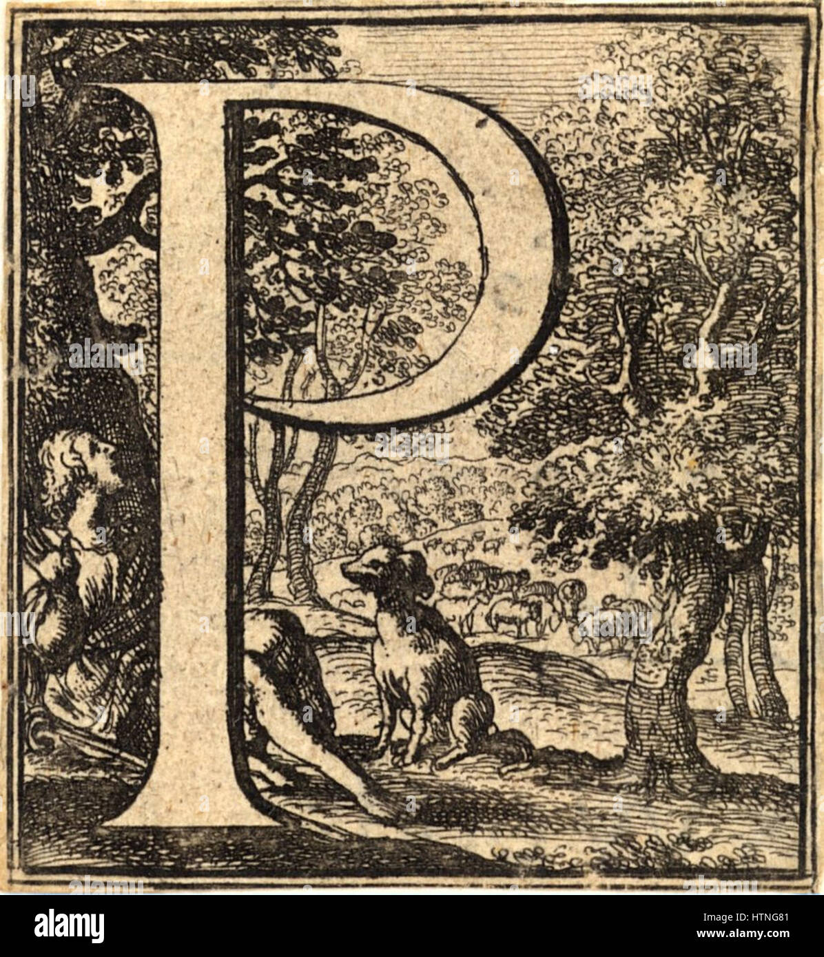 Featuring intricate linework hi-res stock photography and images - Alamy