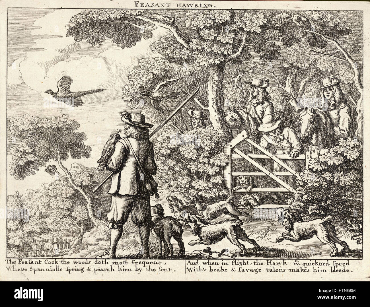 Wenceslas Hollar’s engraving 'Pheasant Hawking' depicts a hunting scene ...