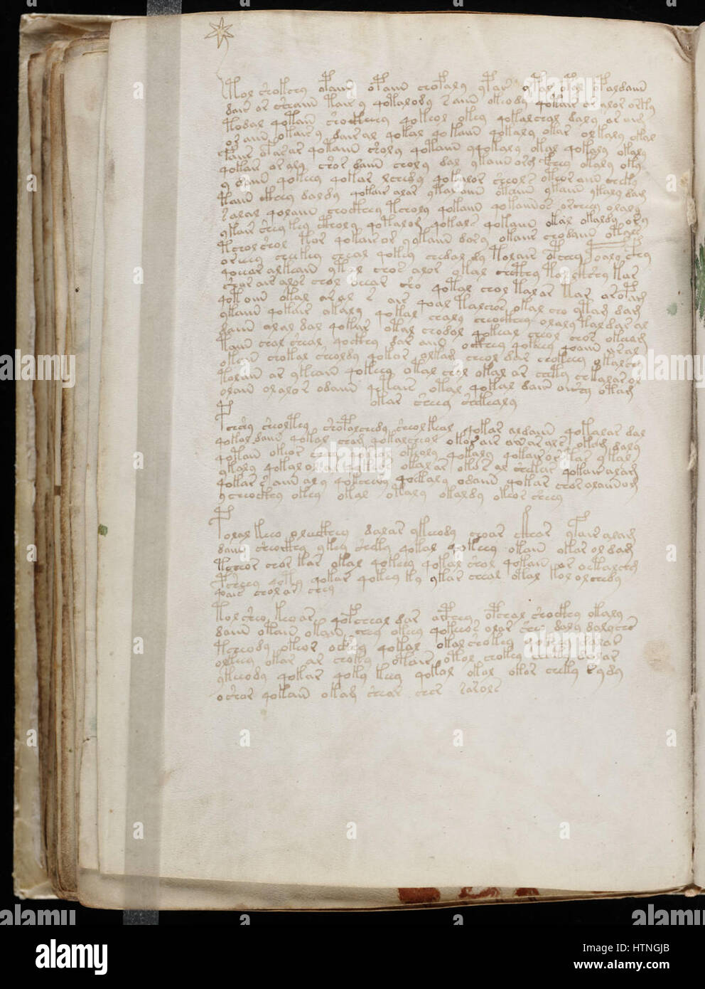 Voynich Manuscript (116 Stock Photo - Alamy