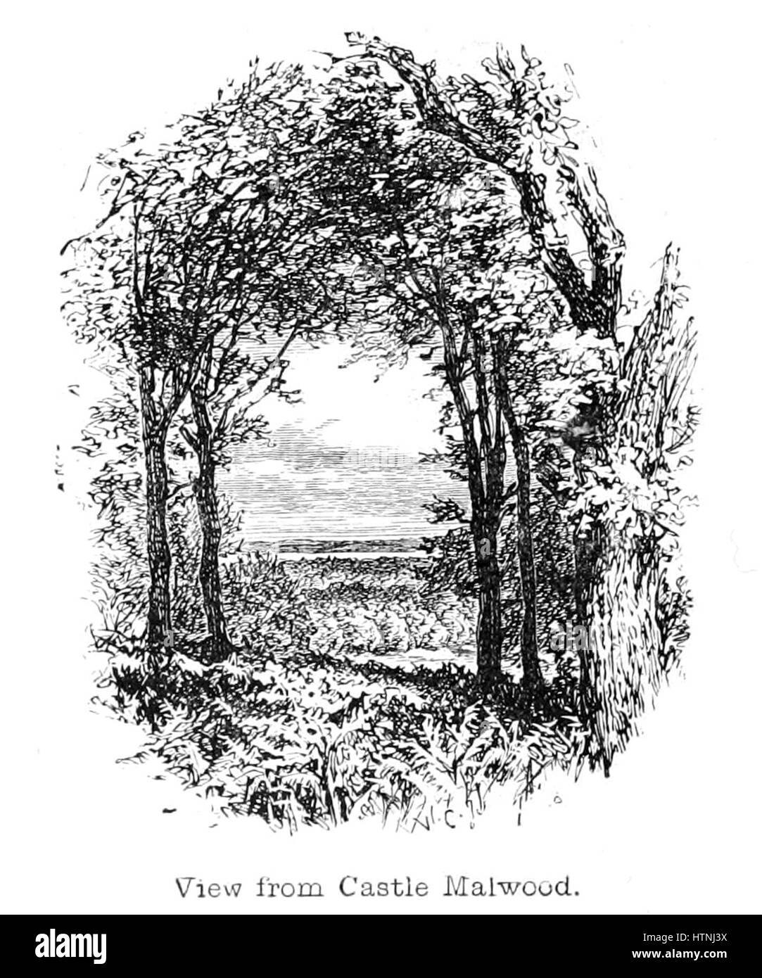 New forest hunting Black and White Stock Photos & Images - Alamy