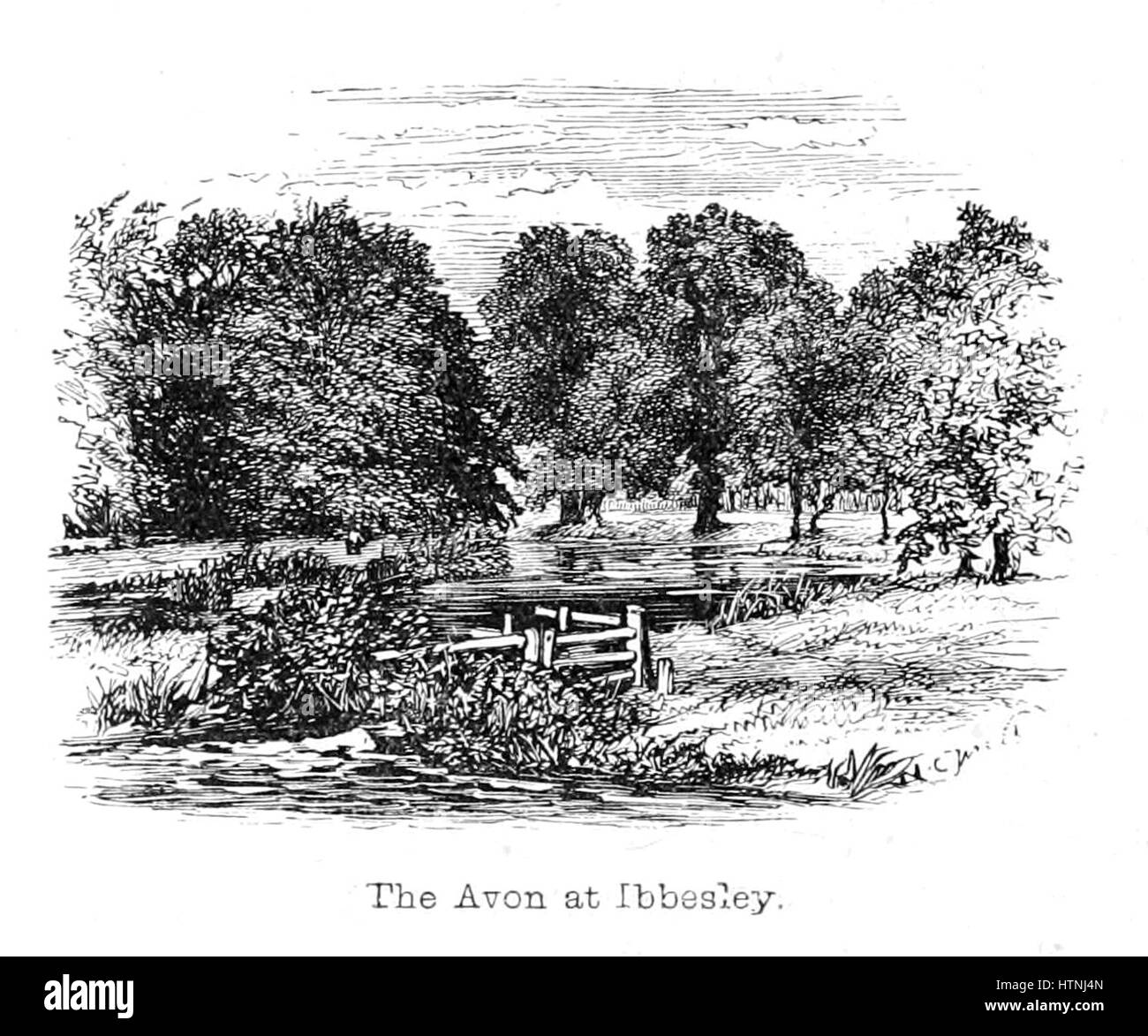 'The New Forest: Its History and Its Scenery' explores the rich history ...