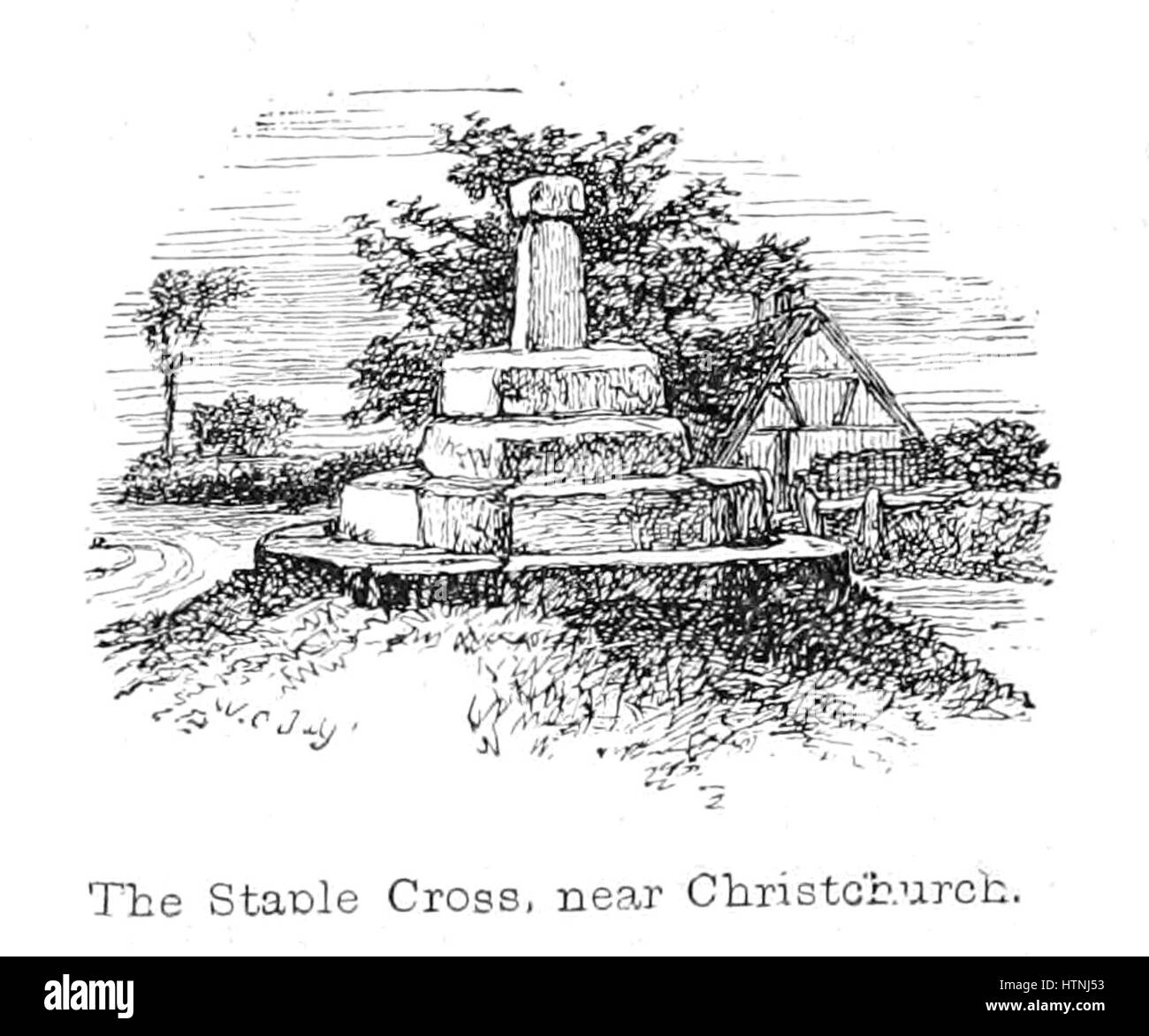 The New Forest its history and its scenery - page 288 Stock Photo - Alamy