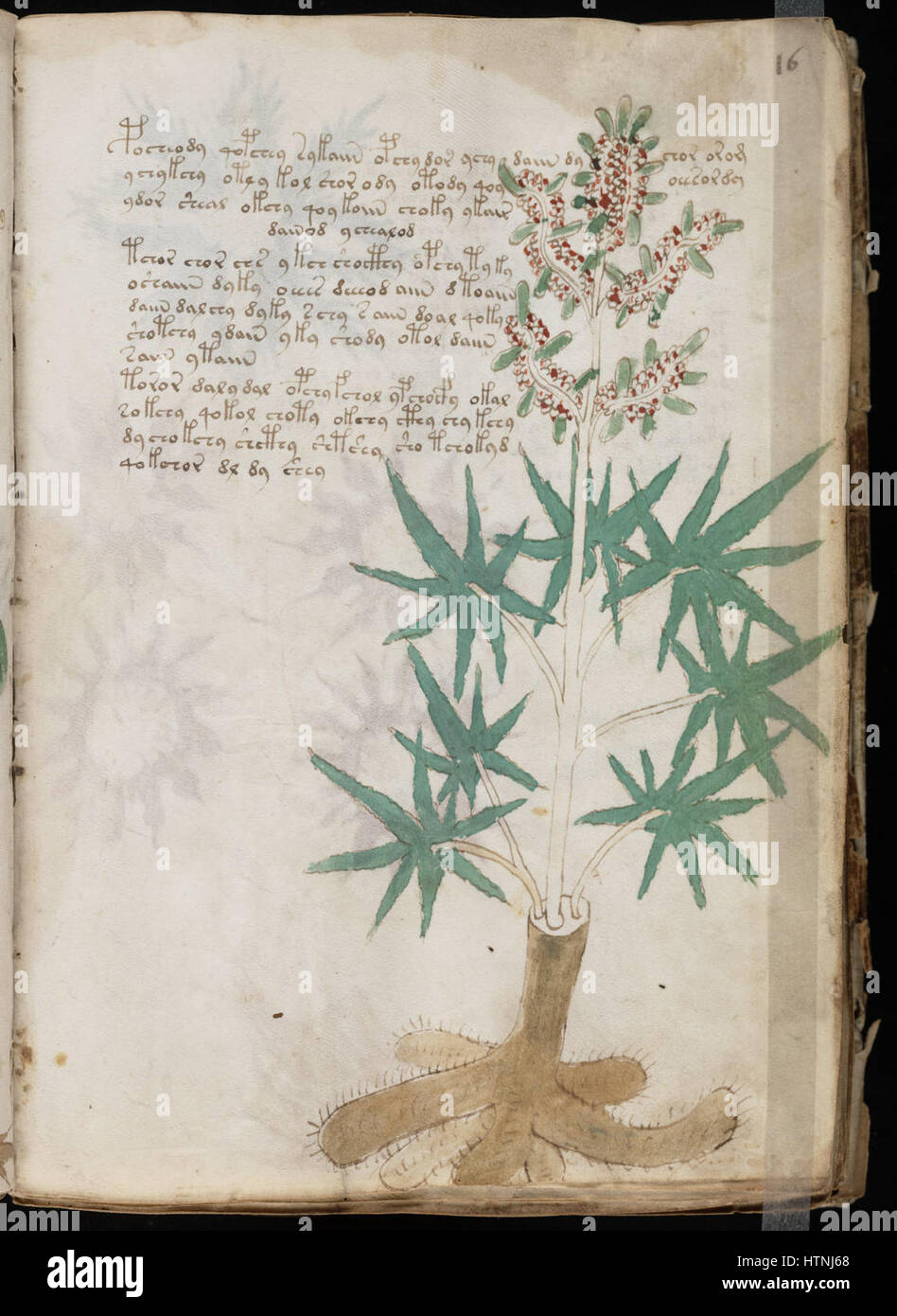 The Voynich Manuscript, known for its mysterious script and ...