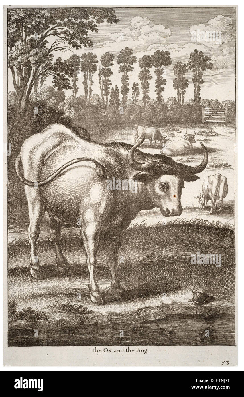 The ox and the frog hi-res stock photography and images - Alamy