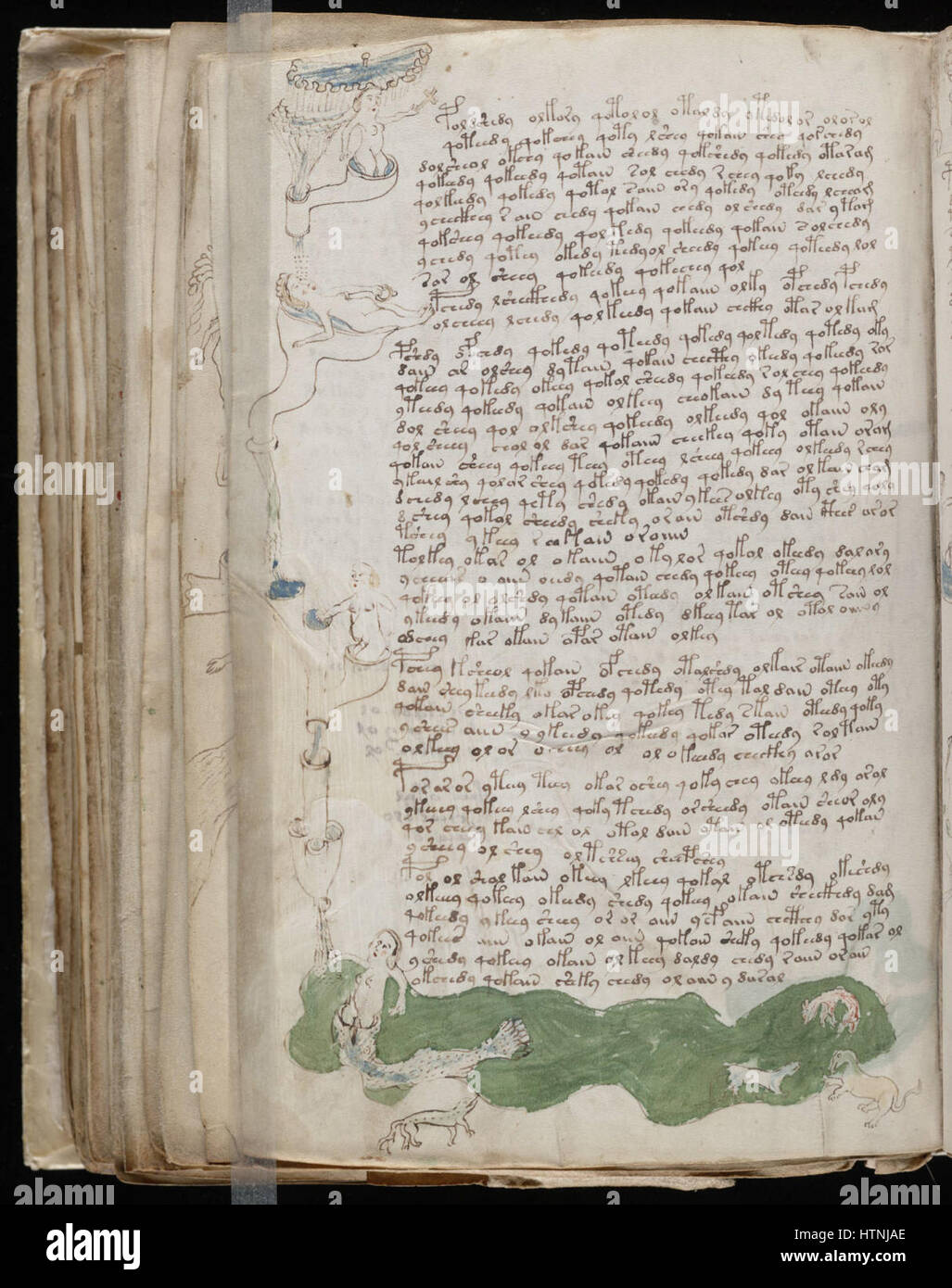 The Voynich Manuscript, a mysterious and undeciphered book, remains one ...