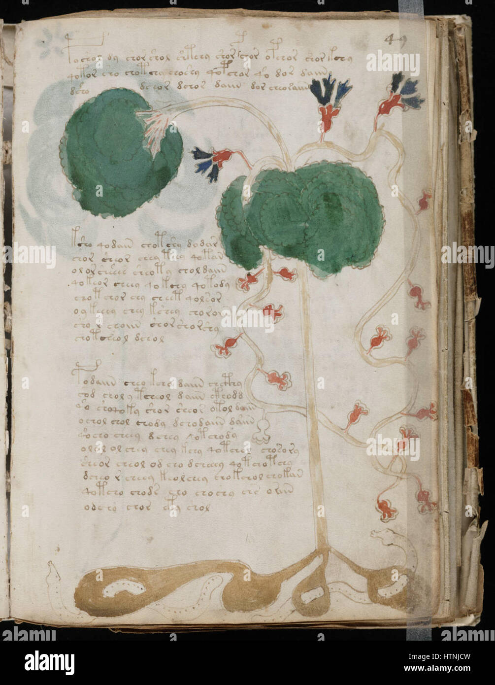 The Voynich Manuscript, a mysterious 15th-century book, is known for ...
