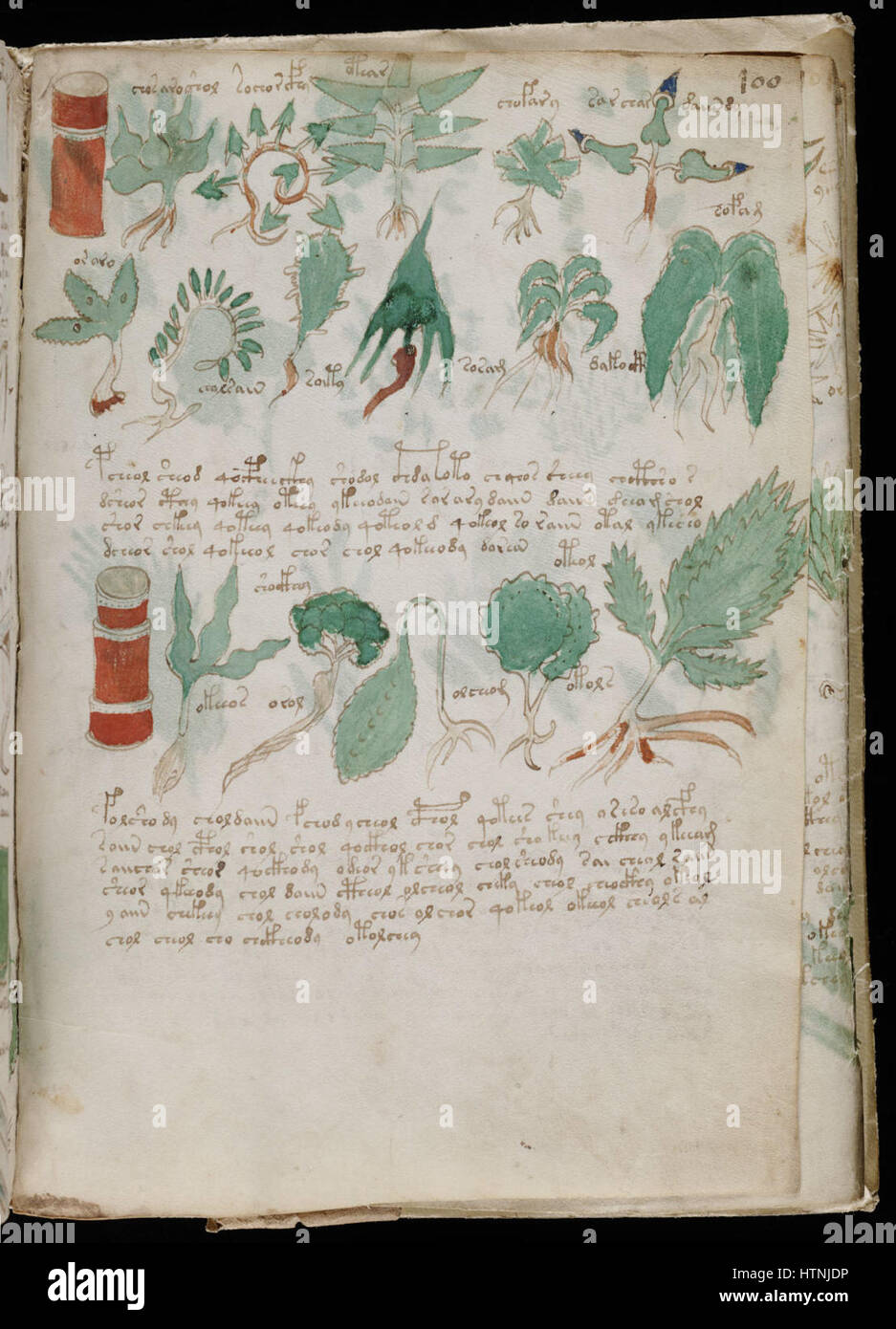 The Voynich Manuscript (177) is a mysterious, illustrated manuscript ...
