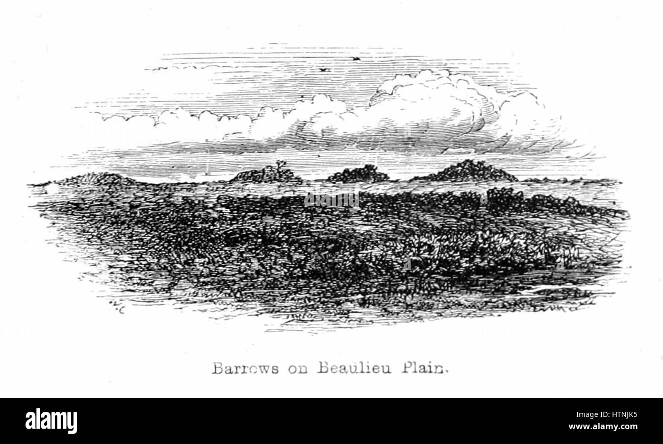 The New Forest its history and its scenery - page 213 Stock Photo - Alamy