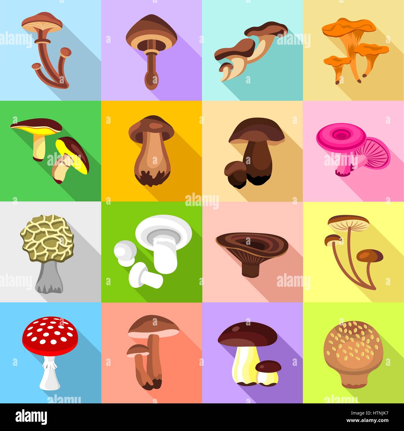 Mushroom icons set. Flat illustration of 16 mushroom icons set vector ...