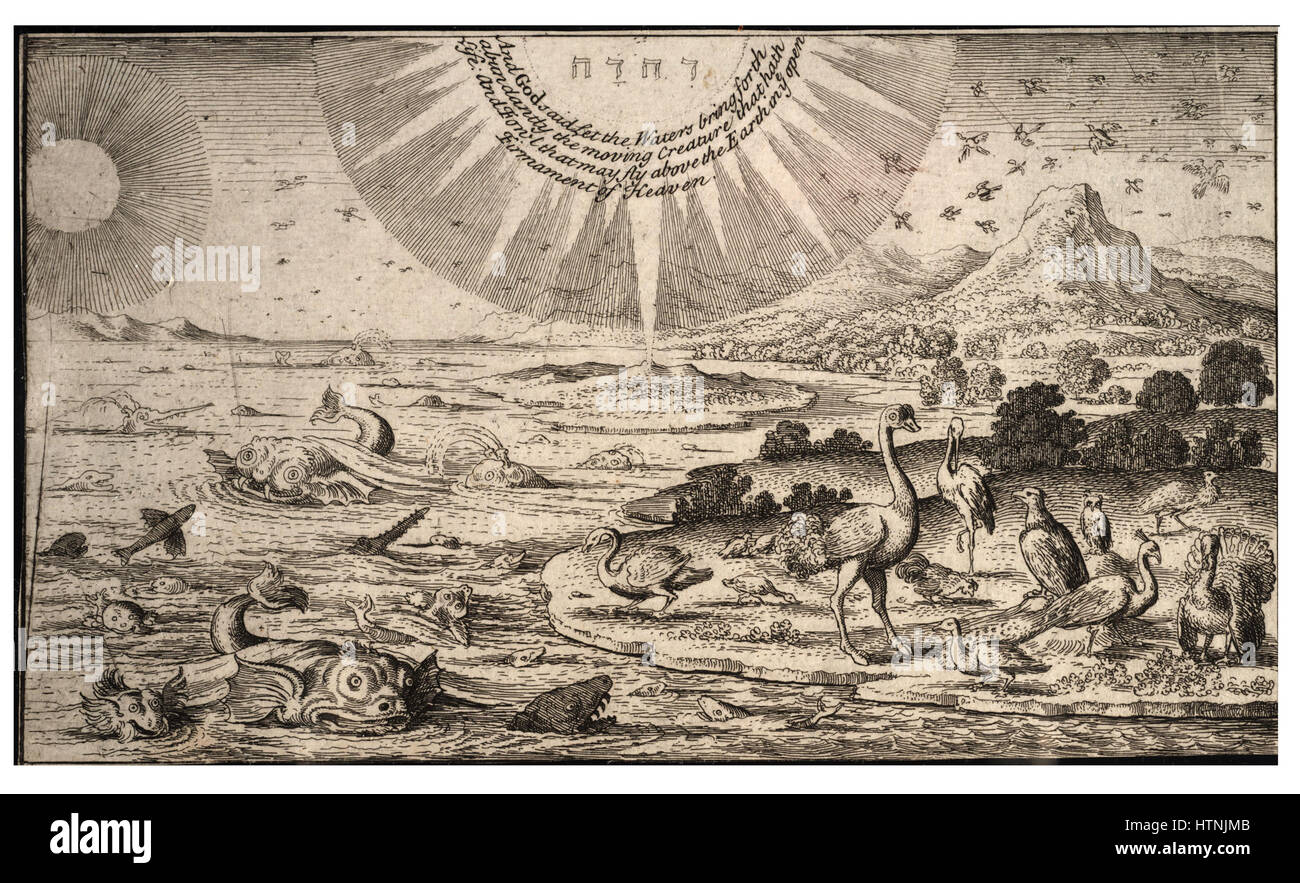 Creation birds fishes hi-res stock photography and images - Alamy