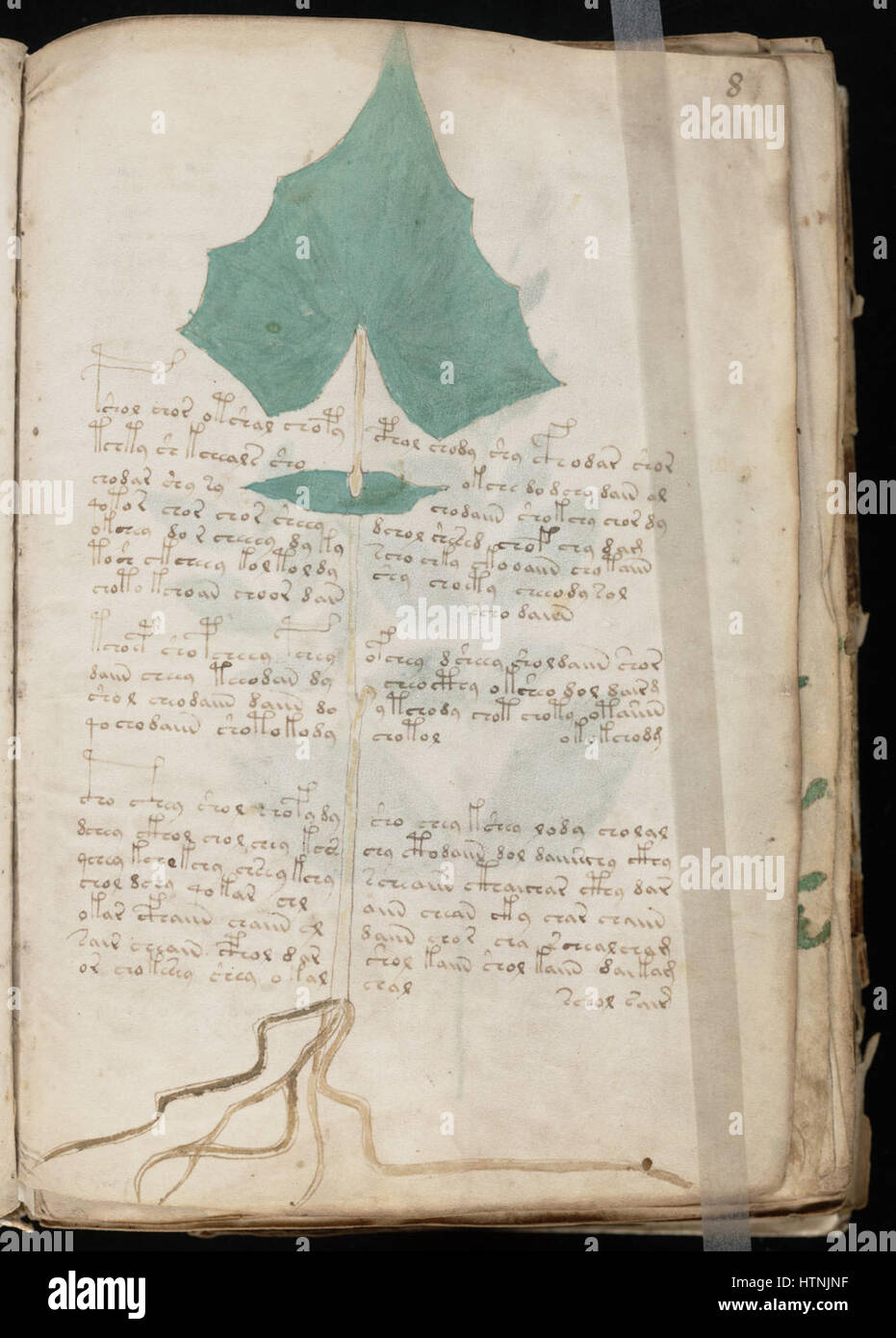 Voynich code hi-res stock photography and images - Alamy