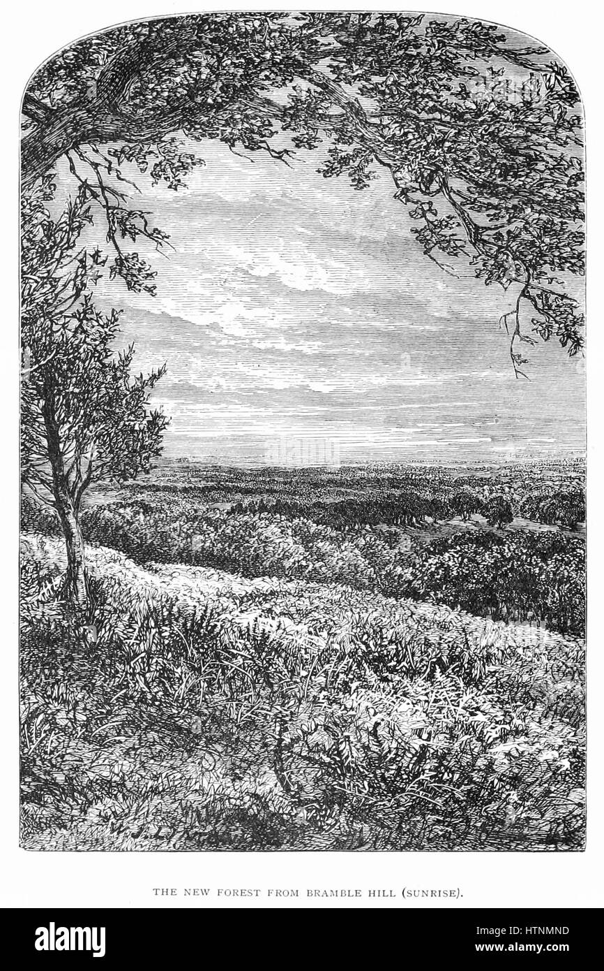 The New Forest its history and its scenery - frontispiece Stock Photo ...