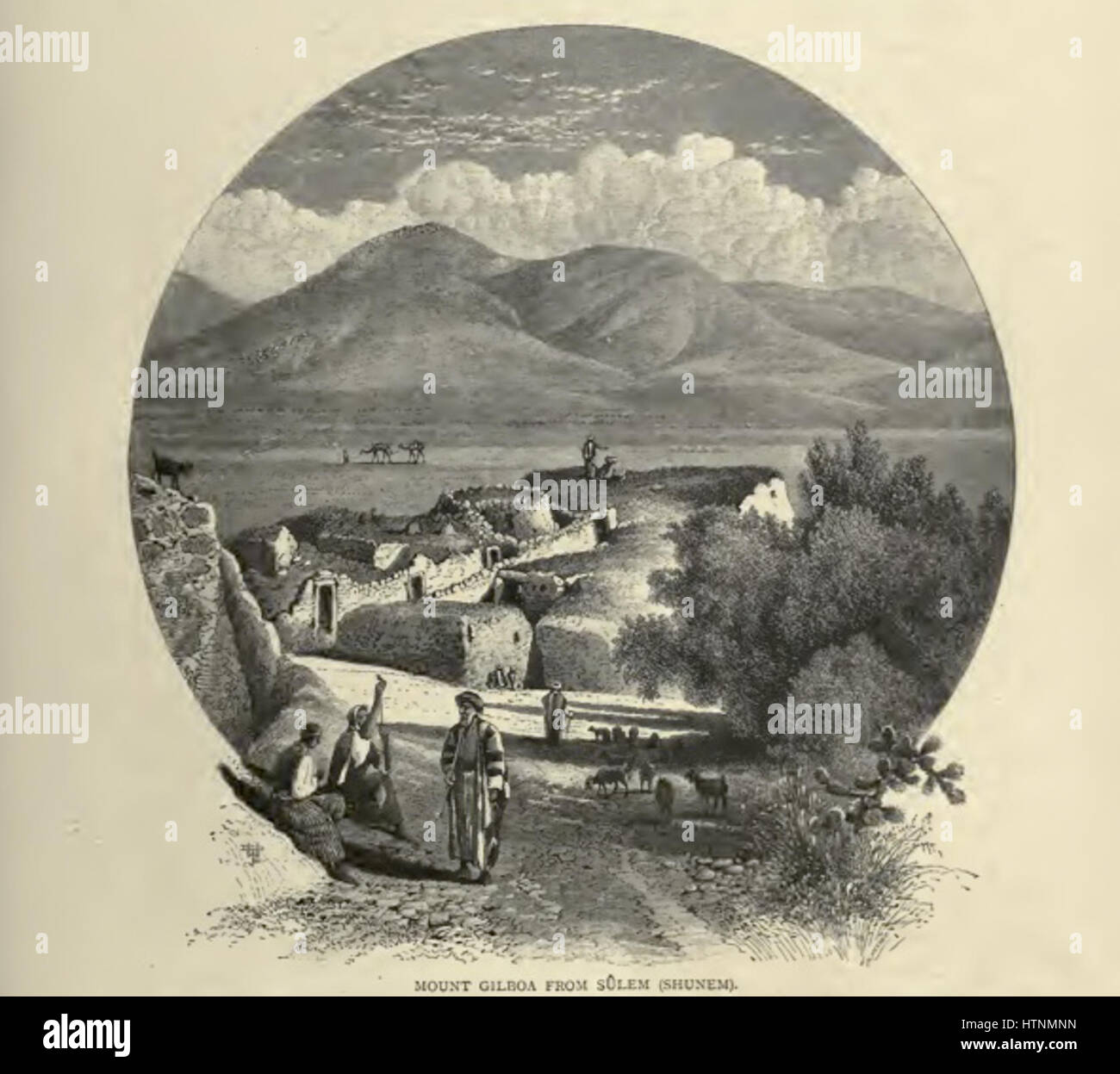 Sulam hi-res stock photography and images - Alamy