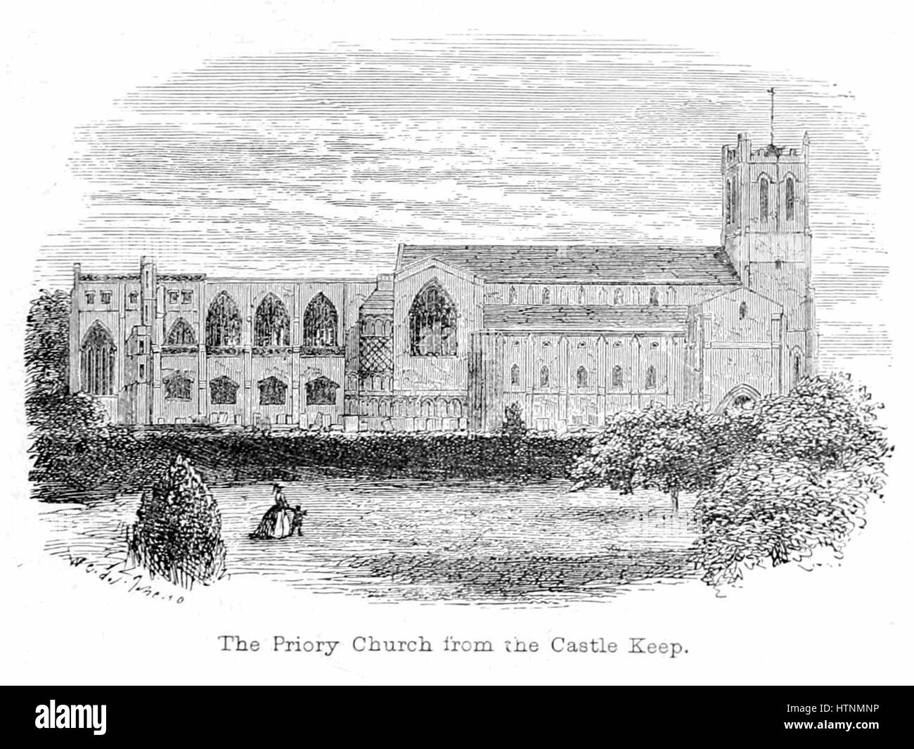 The New Forest its history and its scenery - page 129 Stock Photo - Alamy
