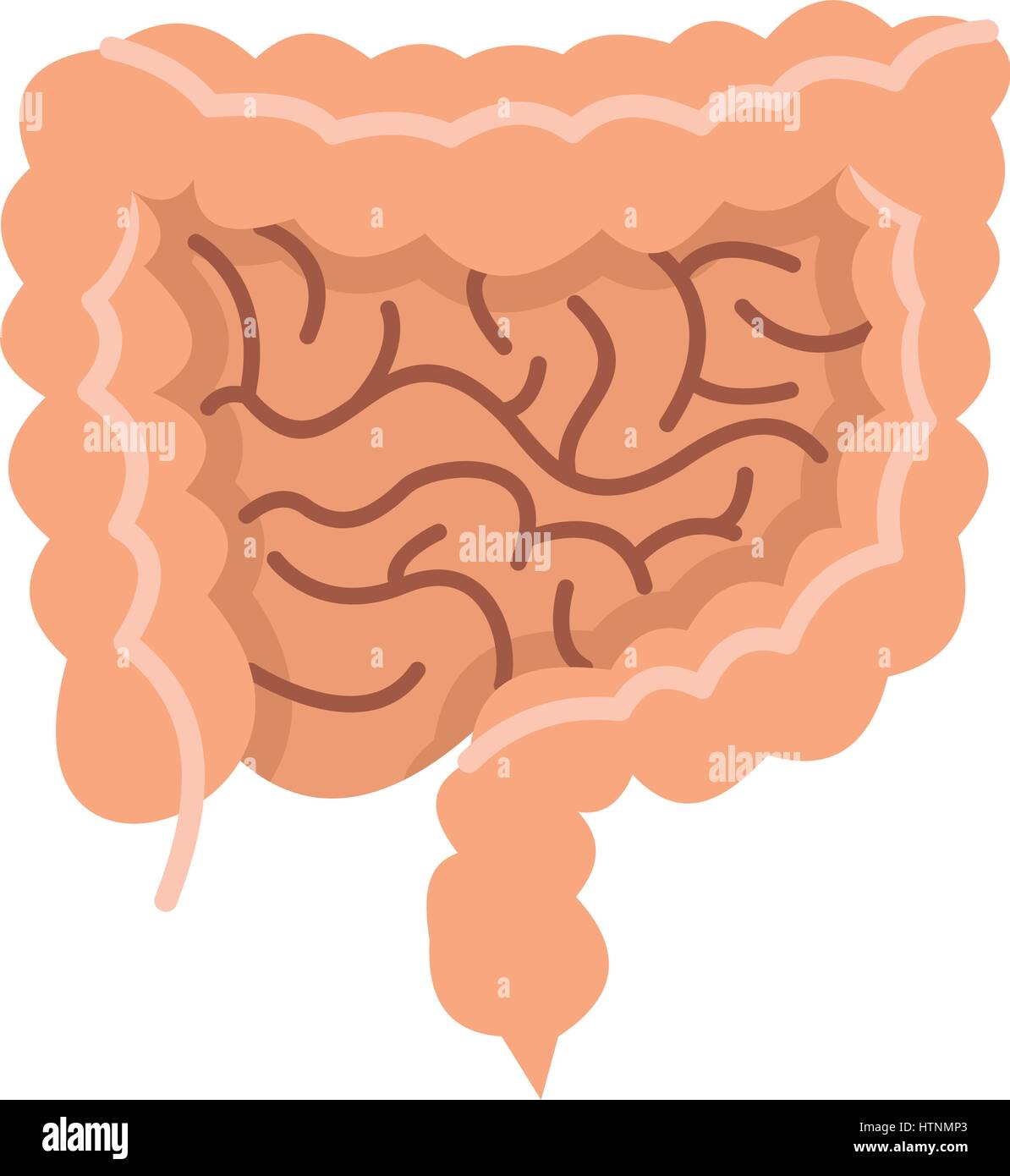 Intestines icon in flat style isolated on white background vector ...