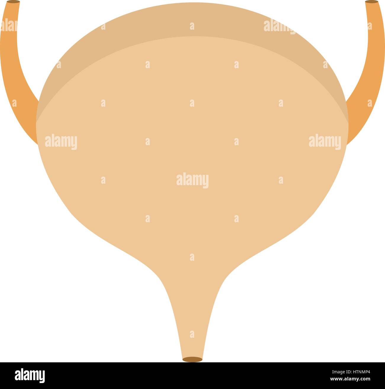 Bladder icon in flat style isolated on white background vector ...