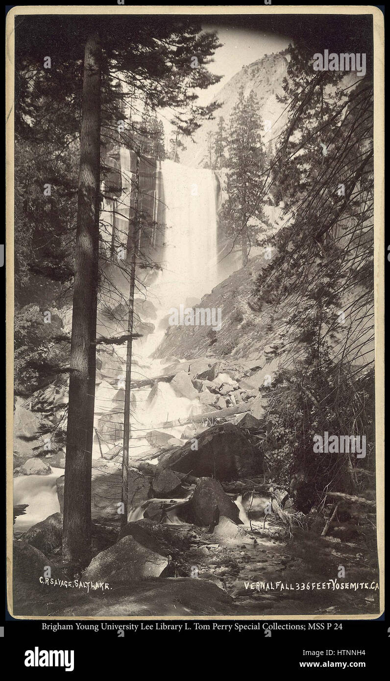 The manuscript '399 MSS P 24 B3 F6' is an ancient document featuring ...