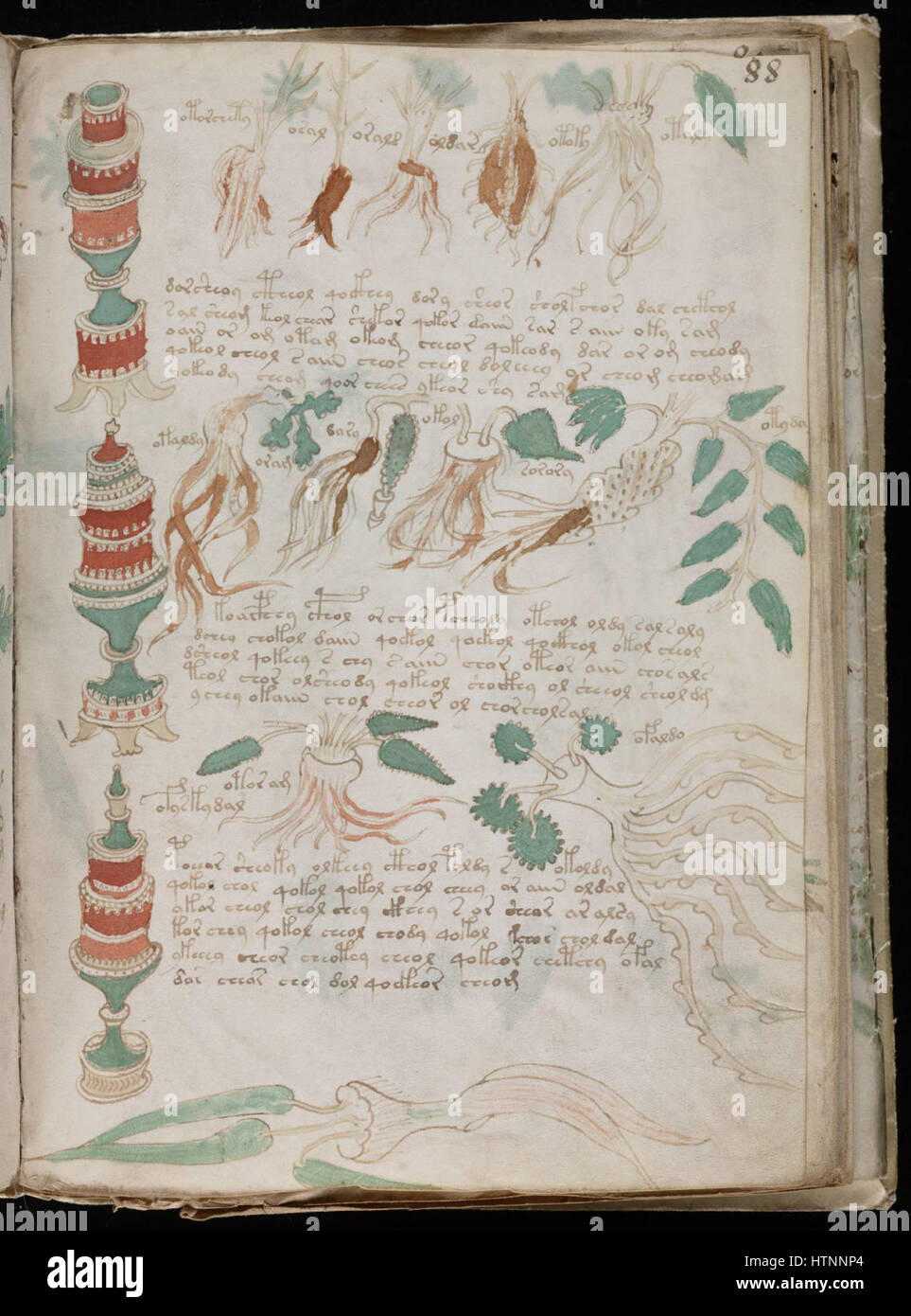 The Voynich Manuscript, a mysterious and undeciphered book, contains ...