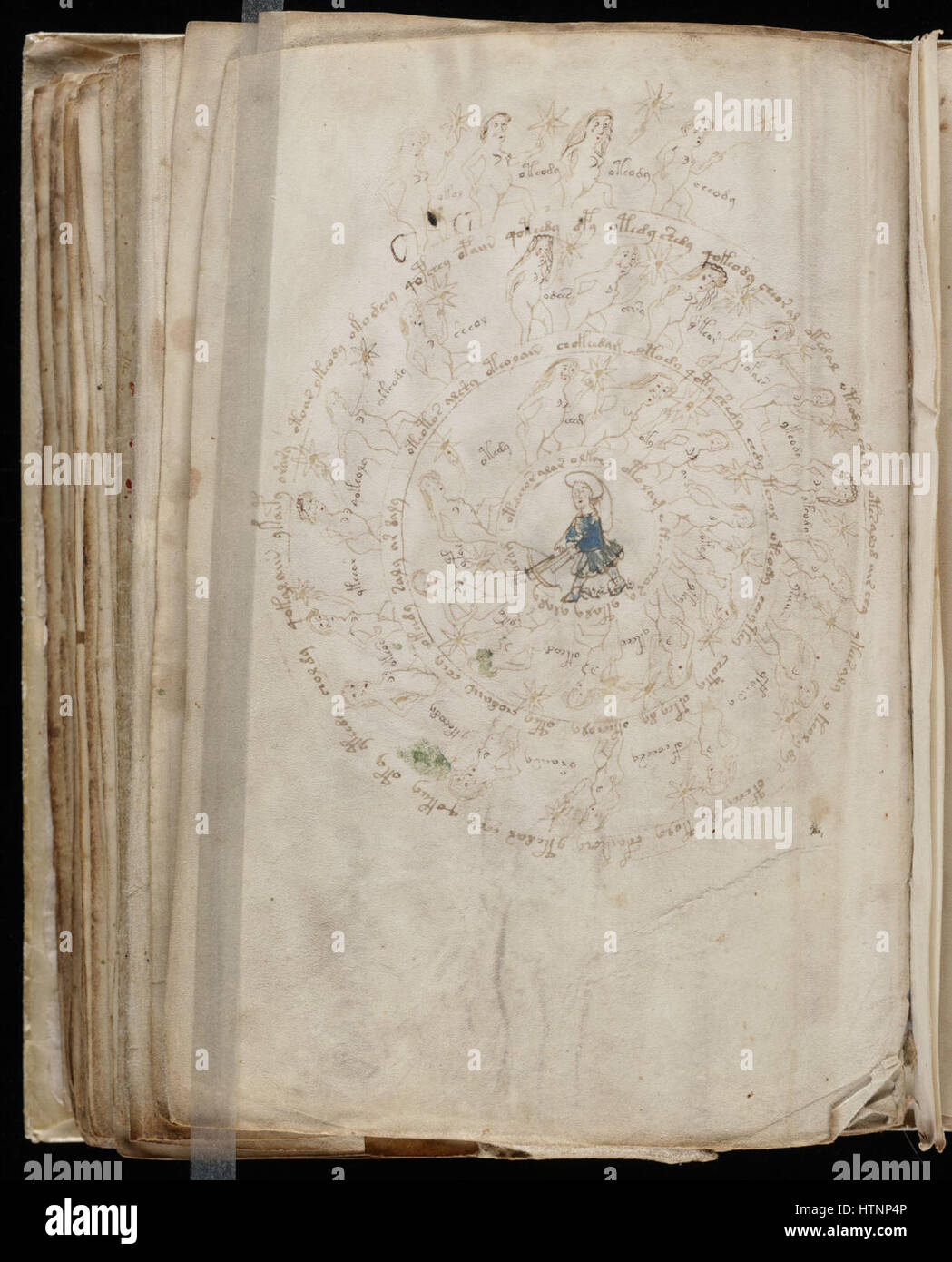 The Voynich Manuscript is an illustrated codex written in an unknown ...