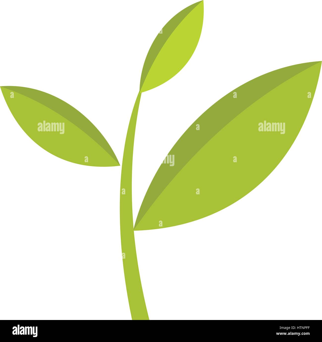 Tea plantation tea estate tea Stock Vector Images - Alamy