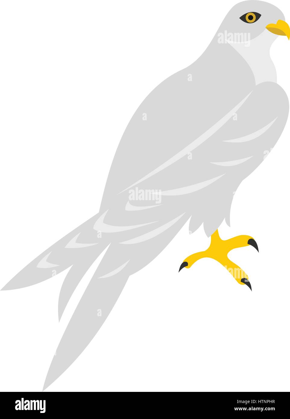 Hawk icon, flat style Stock Vector Image & Art - Alamy