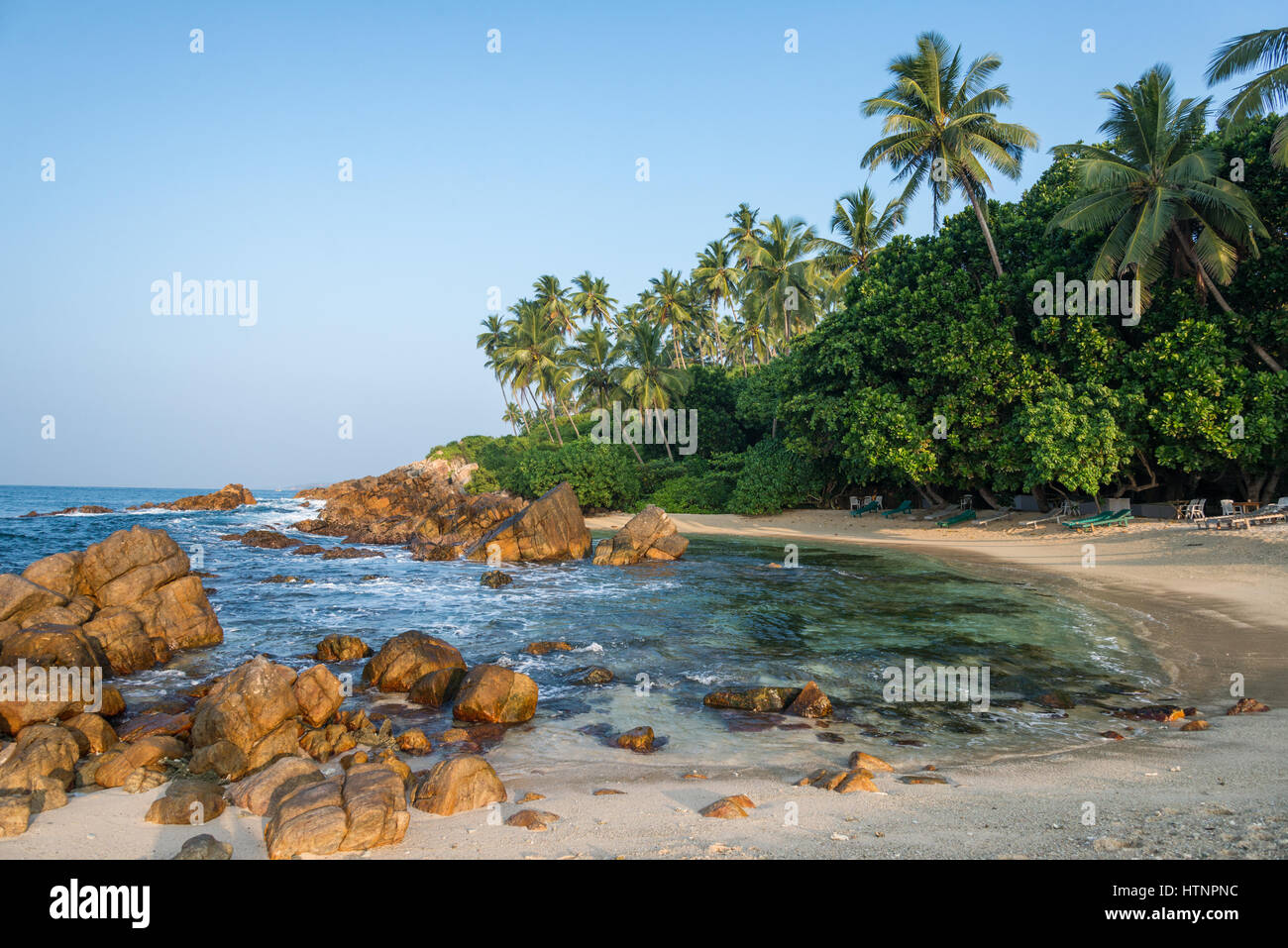 Small beautiful lagoon palm trees hi-res stock photography and images ...
