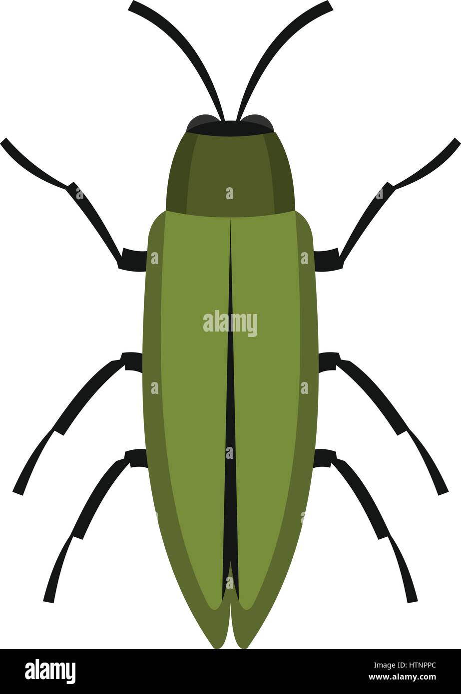 Green beetle icon, flat style Stock Vector Image & Art - Alamy