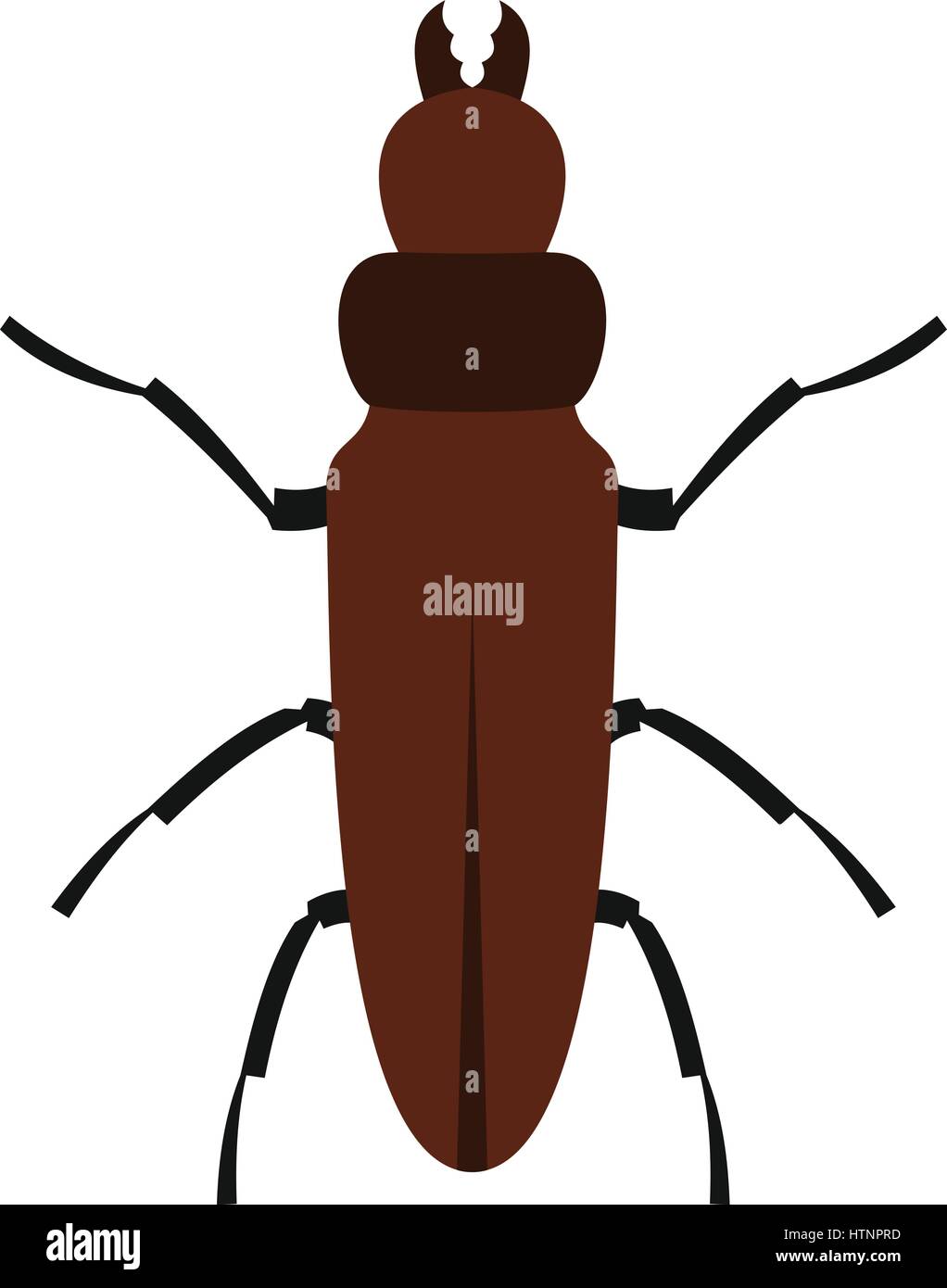 Big cockroach Cut Out Stock Images & Pictures - Alamy