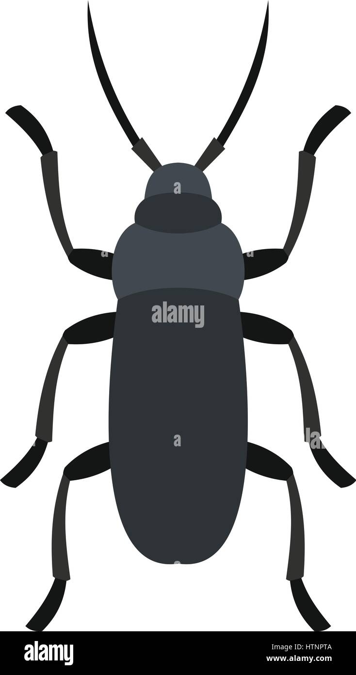 Gray bug icon, flat style Stock Vector Image & Art - Alamy