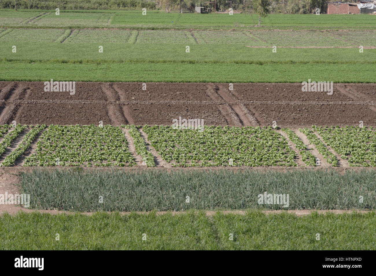 Agricultural Land, Landscape Stock Photo - Alamy